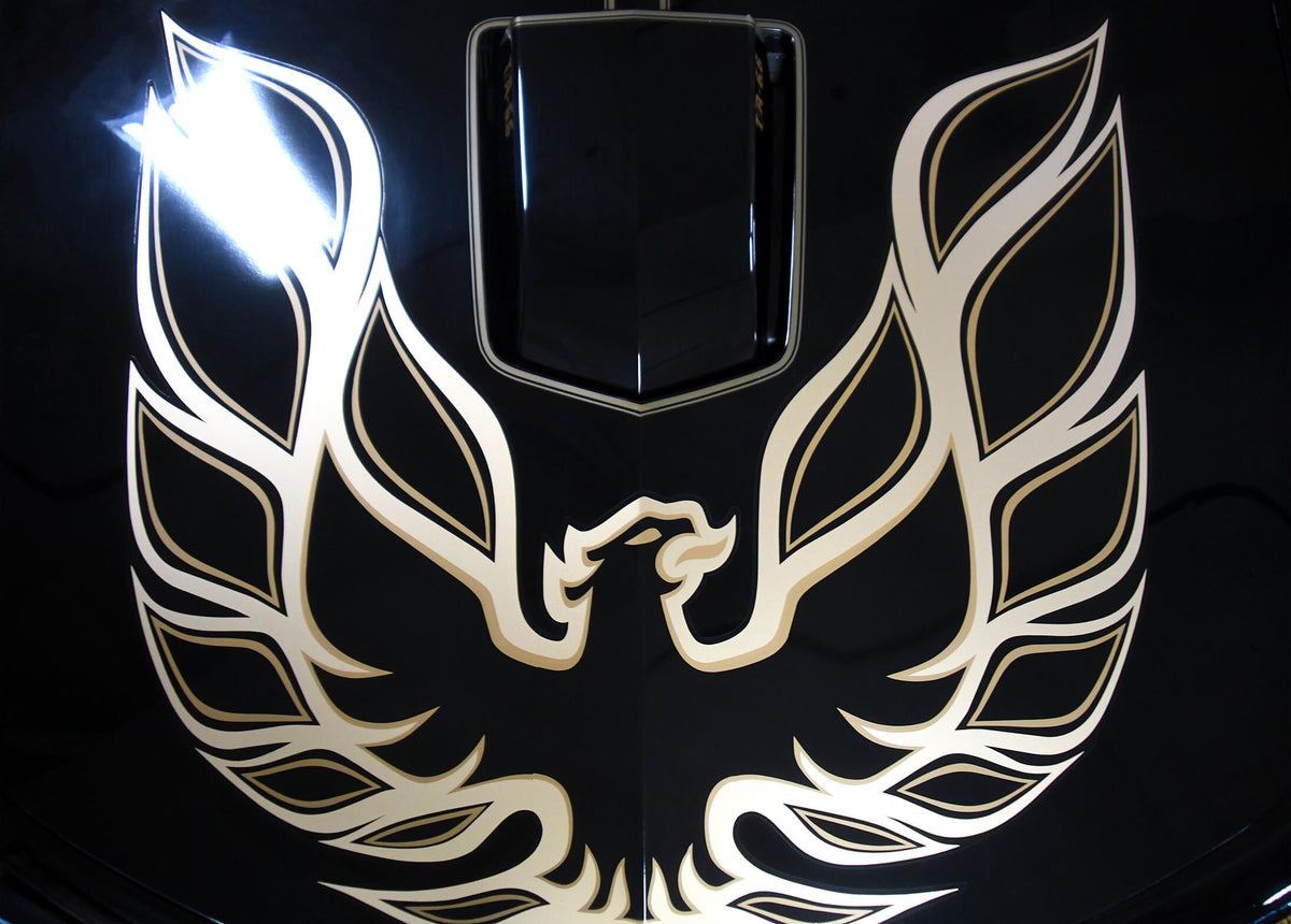 ZTA Trans Am Shaker Hood – Woodward Speed Shop